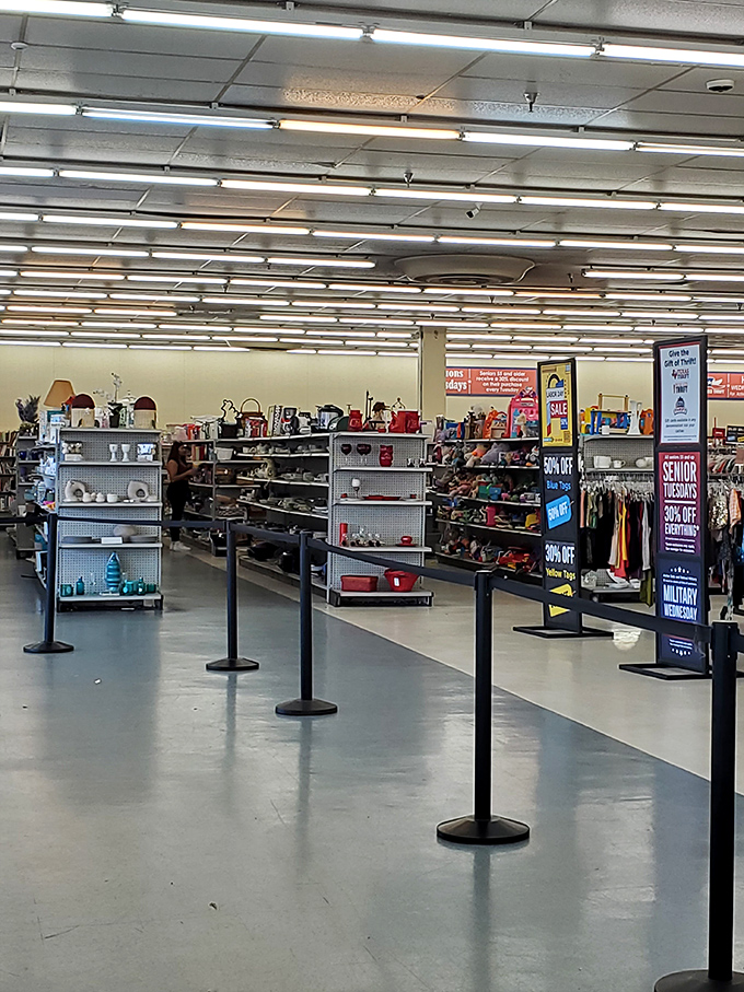 Those neat rows of shelves visible through the windows hint at the methodical treasure hunt awaiting within.