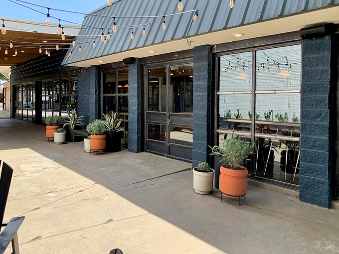 String lights and potted plants make The Salty Donut feel more like a hip café than your grandpa's donut shop.