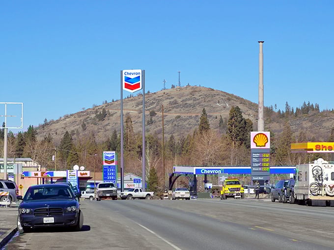 Mount Shasta's guardian town where the jokes write themselves but the living is serious.