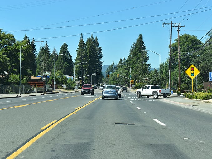 Willits' tree-lined highway feels like nature's welcome mat—just follow the yellow signs to small-town paradise.