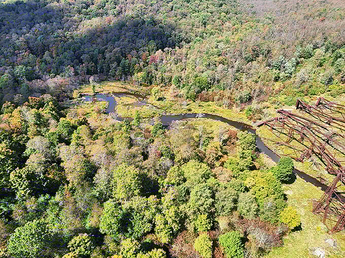 Life reclaiming what was lost. The twisted remains of the fallen bridge sections rest among the trees, slowly being embraced by the forest below.