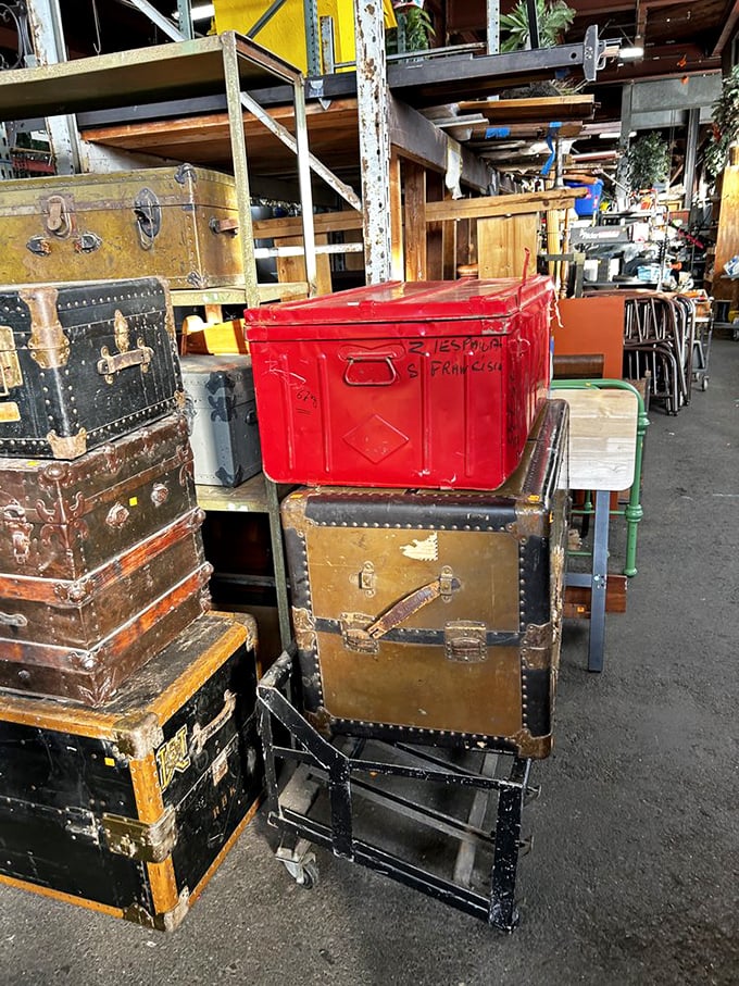 These vintage trunks once carried someone's worldly possessions across oceans. Now they await new adventures—perhaps as your coffee table?