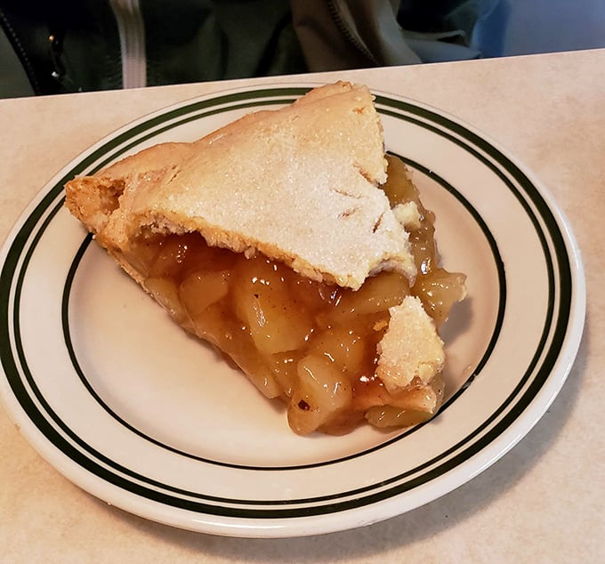 A slice of apple pie that would make Grandma both proud and a little jealous. The flaky crust holds secrets only decades of practice can reveal.