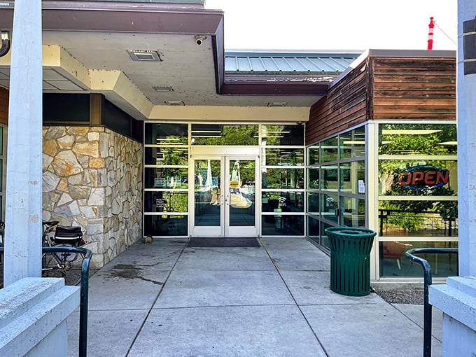 The library entrance says "Carnegie" but whispers "free entertainment" to retirees stretching their Social Security dollars.