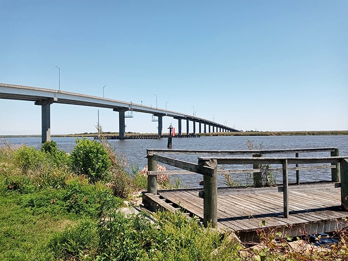 The John Gorrie Bridge stretches across the bay like a concrete welcome mat, connecting mainland Florida to the barrier islands beyond.