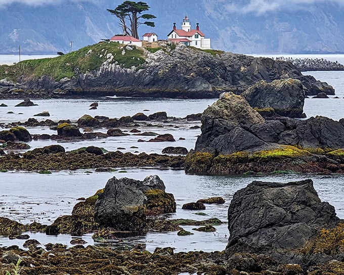 Battery Point Lighthouse stands sentinel on its rocky island, accessible only at low tide – Mother Nature's way of creating an exclusive tour schedule.