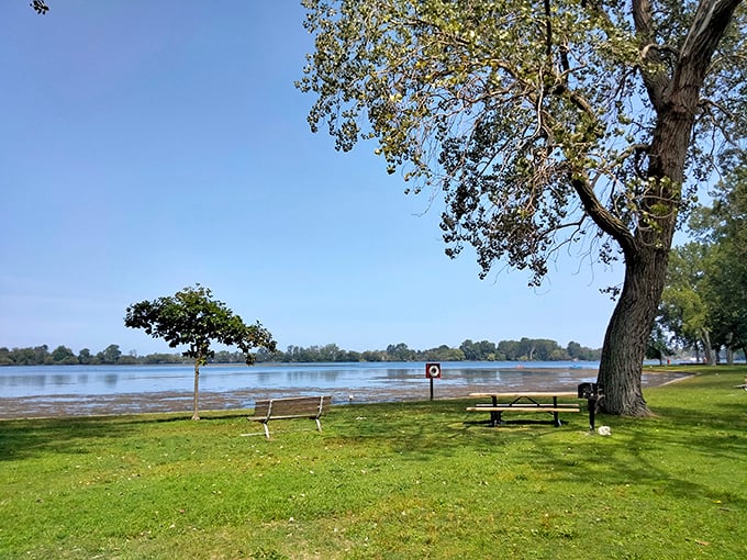 A peaceful lakeside retreat complete with bench seating—nature's waiting room with a view that beats anything you'll find at the doctor's office.
