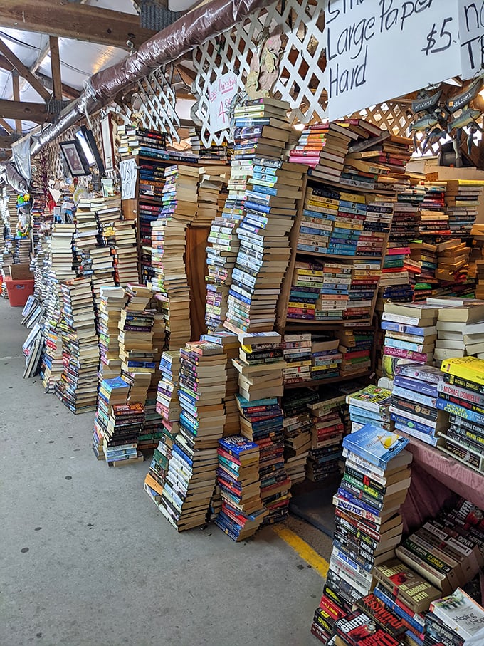 A bibliophile's dream or a structural engineer's nightmare? These precariously stacked literary towers contain beach reads, forgotten bestsellers, and hidden gems alike.