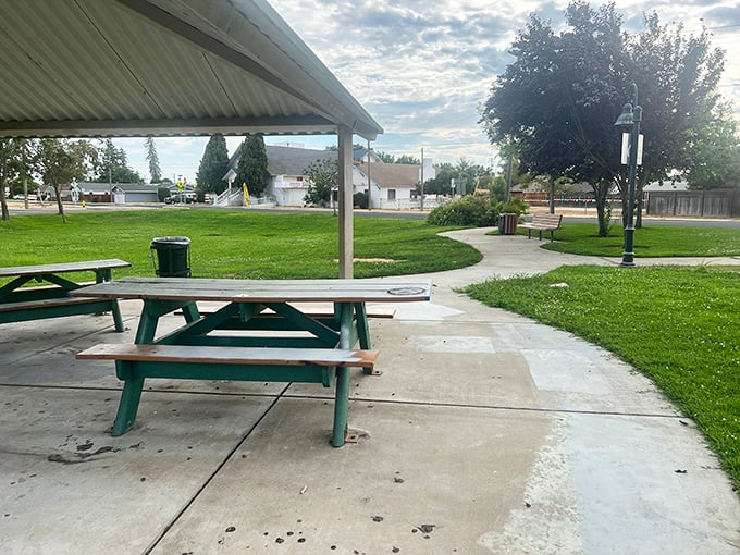 The humble picnic pavilion – where family reunions and community potlucks create memories that Instagram filters can't improve.