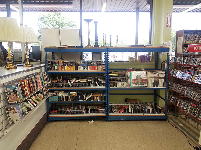 The media section—where forgotten bestsellers and overlooked classics create the world's most democratic library, all waiting for their next reader.