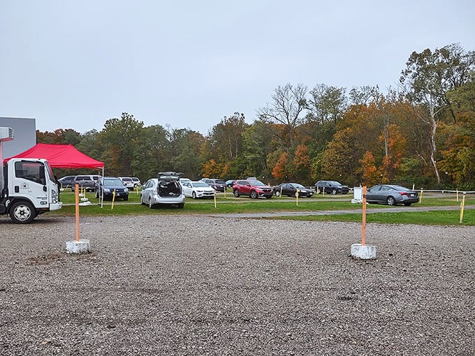 Cars find their perfect viewing spots as autumn leaves create a colorful frame for an evening of outdoor movie magic.