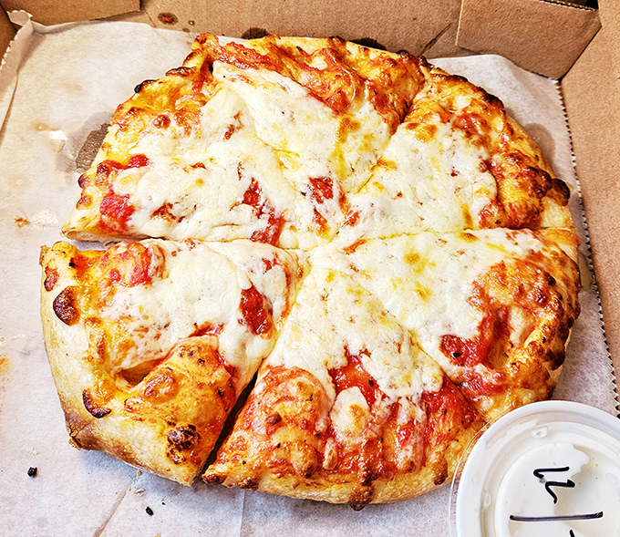 Sometimes the classics deserve our respect – this cheese pizza proves simplicity can be the highest form of culinary art.