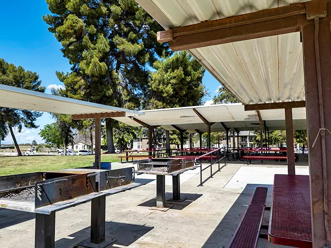 Chestnut Park offers another shaded retreat with barbecue facilities – because in Huron, outdoor living is an art form perfected through necessity.