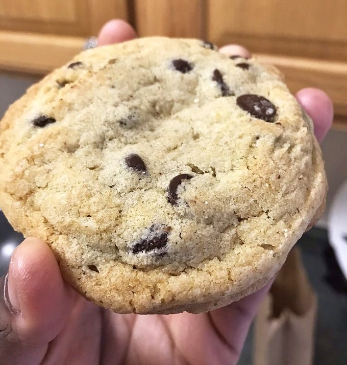 This chocolate chip cookie isn't just baked—it's engineered for maximum comfort, with that perfect crisp-edge-to-chewy-center ratio that defies physics.