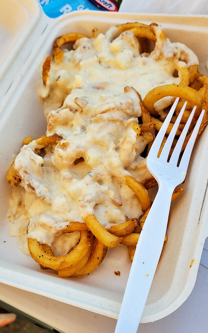 Curly fries swimming in chowder – proof that sometimes the best culinary ideas sound questionable until that first magnificent bite.