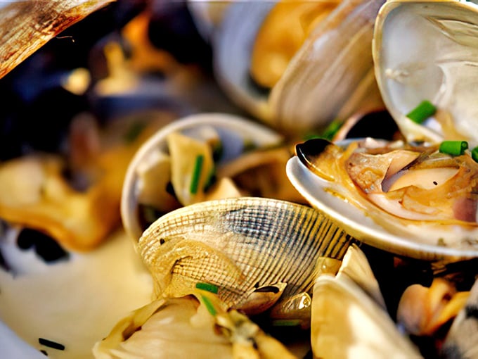 Fresh clams nestled together like tiny treasures from the deep. This dish doesn't just feed you—it tells a story of the sea.
