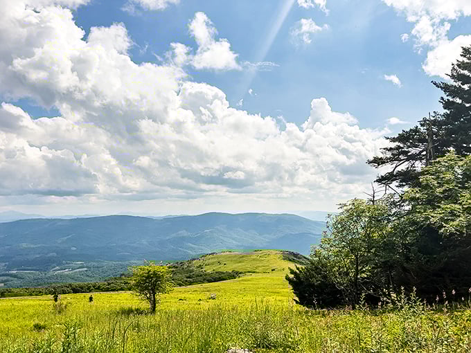 Summer meadows stretch toward misty mountains, creating the perfect backdrop for your "I'm on top of the world" moment.