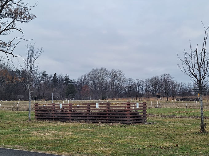 The community garden plots await spring planting – wooden frames standing ready for the neighborhood's green thumbs.