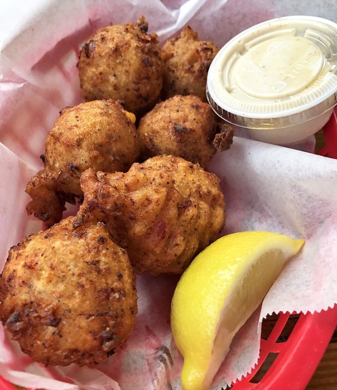 Conch fritters: golden-brown spheres of Florida tradition that crunch then yield to tender, flavorful interiors.