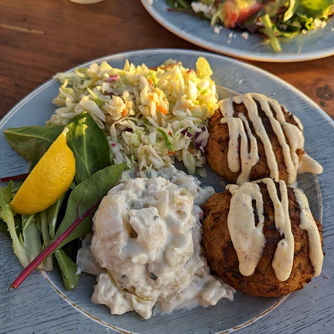 Crab cakes that are actually crab (imagine that!), served with coleslaw that doesn't feel like an afterthought—Florida's seafood game at its finest.