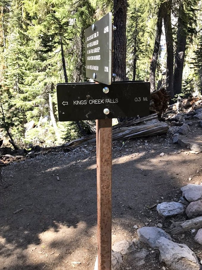 "Kings Creek Falls: 0.3 Mi" – the most promising relationship status update you'll see all day.