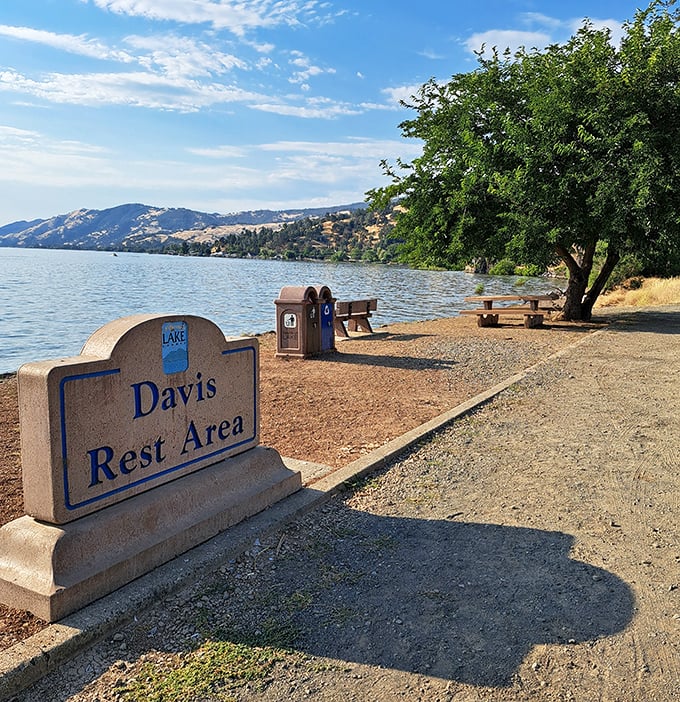 Davis Beach Rest Area – where "rest" actually means something. A picnic table with million-dollar views that didn't cost a million dollars.