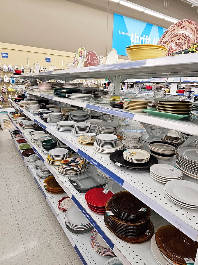 Dinner party on a budget? These shelves of dishes could outfit a banquet hall without emptying your wallet.