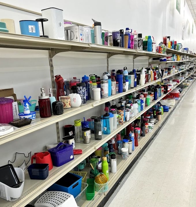 Travel mugs as far as the eye can see – each one with its own mysterious backstory and possibly someone else's coffee stains.