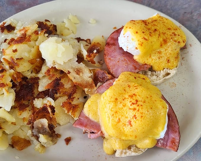 Eggs Benedict done right—perfectly poached eggs perched atop Canadian bacon with home fries that could make a potato proud.