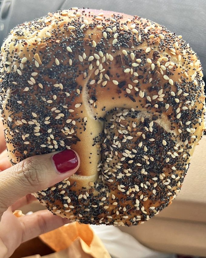 The everything bagel—a perfect circle of chewy bliss where poppy meets sesame in a harmonious dance of texture and flavor.