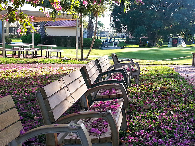 Spring's purple confetti decorates these benches daily. Nature's way of saying, "Sit down, relax—you've earned this view."
