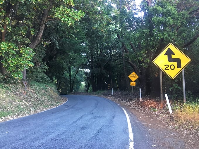 Sharp curves ahead! The kind of road that makes driving enthusiasts grin and passengers reach for the "oh no" handle above the door.