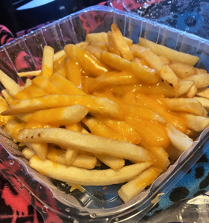 Golden, crispy fries bathed in melted cheese—proof that sometimes the simplest pleasures are worth every single calorie.
