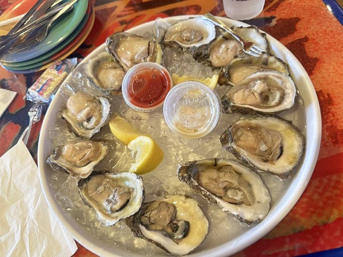 These oysters aren't just served—they're presented like the briny jewels they are, with lemon and sauce standing by for those who need training wheels.