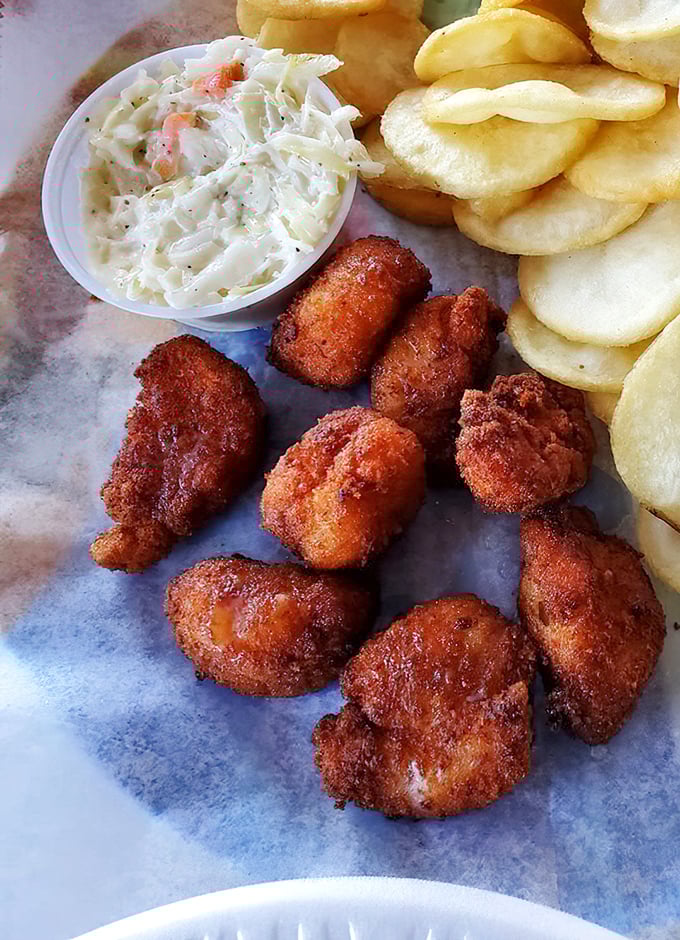 Fried scallops and chips—where crispy exteriors give way to sweet, tender centers. The kind of plate that makes conversation stop mid-sentence.