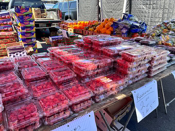 Berry bonanza! Nature's candy displayed in perfect rows, making grocery store produce sections look positively uninspired.