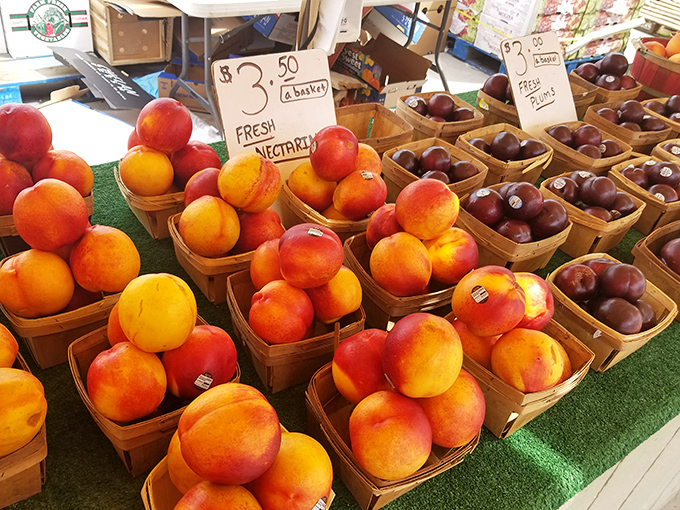Farm-fresh produce brings a burst of color and sweetness to the market. Those nectarines look like they're auditioning for a still-life painting!