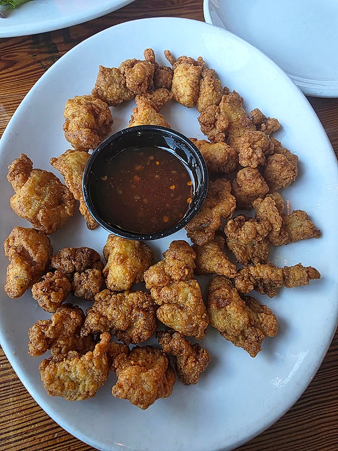 Golden-fried gator bites arranged in a perfect circle – proof that sometimes the most delicious things come from creatures you wouldn't want to meet swimming.