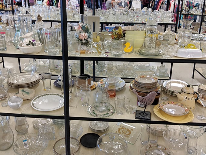 Crystal kingdoms and ceramic castles – the glassware section sparkles with forgotten treasures that once graced someone else's dinner table.