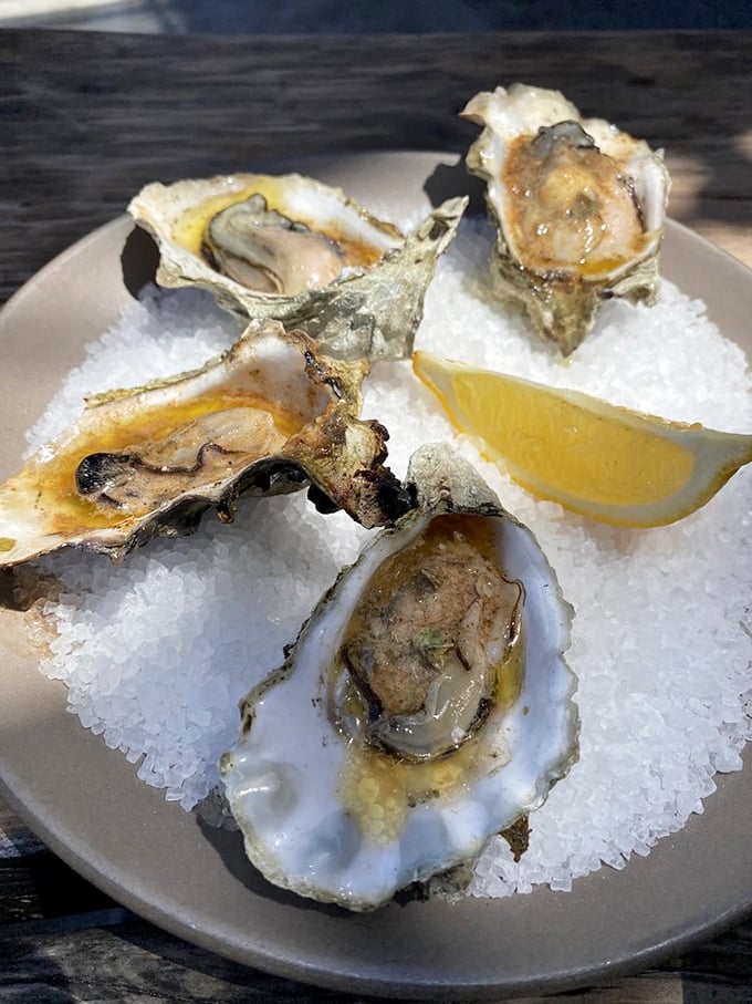 Grilled oysters lounging on ice like they're at a spa, ready for their close-up.