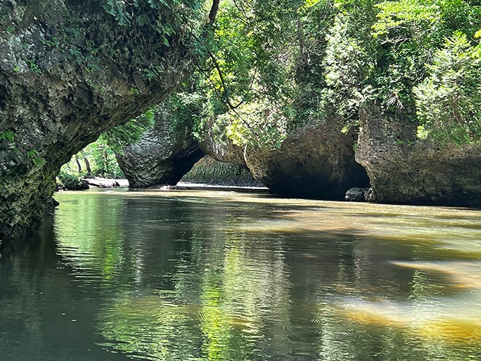 Mother Nature showing off her rock collection at Highlands Nature Sanctuary – limestone formations that make your garden rocks look like amateurs.