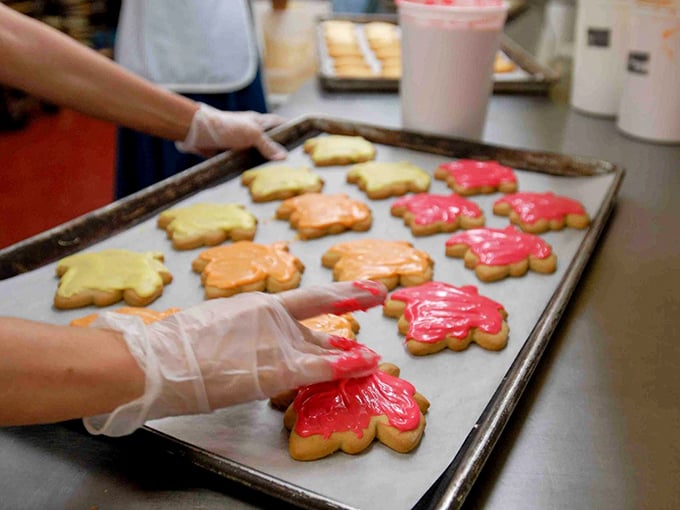 Hands crafting cookie magic—where butter, sugar, and flour transform into memories. These flower-shaped treats aren't just baked; they're lovingly coaxed into existence.