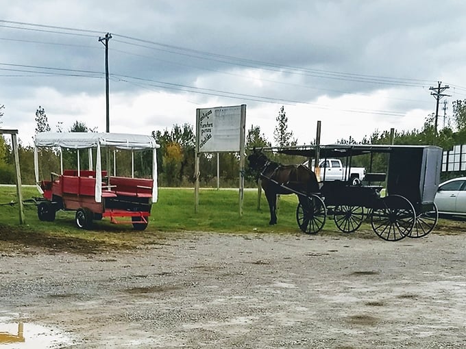 The original hybrid vehicle: zero emissions, maximum charm, and runs entirely on oats and affection.