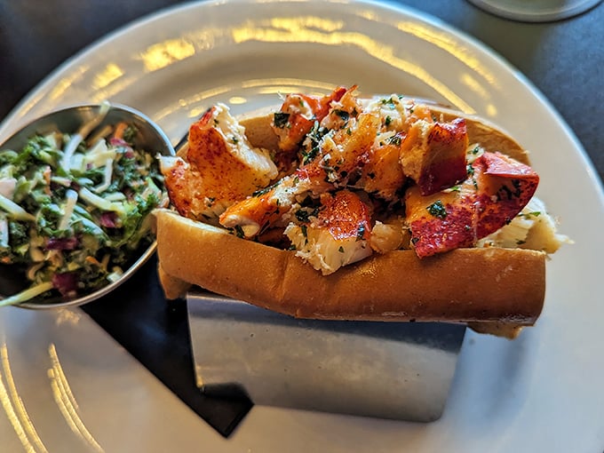 The hot lobster roll—where buttery chunks of sweet lobster meat find their perfect home in a golden, toasted bun.