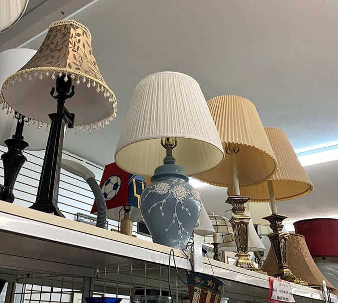 Lampshade paradise! Because nothing says "I've got my life together" like matching your lighting to your personality.