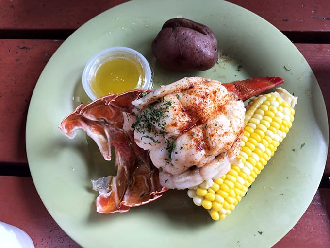 Florida lobster tail, perfectly prepared and served with sweet corn and a baked potato. Surf and turf, Florida-style.