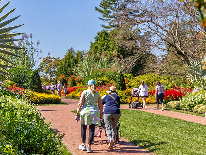 At Longwood Gardens, nature puts on a show that rivals Broadway—vibrant colors, perfect choreography, and not a single concession stand selling overpriced popcorn.