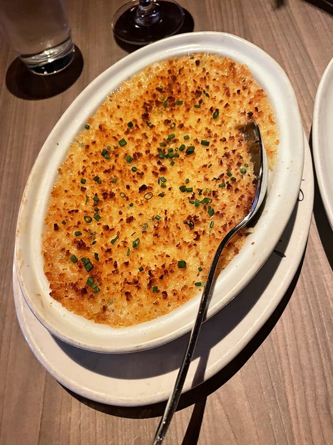 Mac and cheese that's been to finishing school—golden, crispy top hiding a creamy interior that would make your childhood self weep with joy.