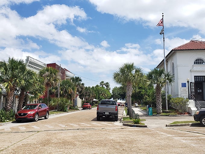 Palm-lined streets and historic buildings create Apalachicola's distinctive character—like a charming elderly relative who dresses better than you ever will.