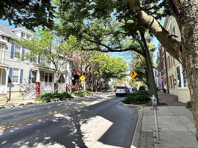 Tree-lined streets with historic homes create the kind of neighborhood where people actually wave to each other – imagine that!